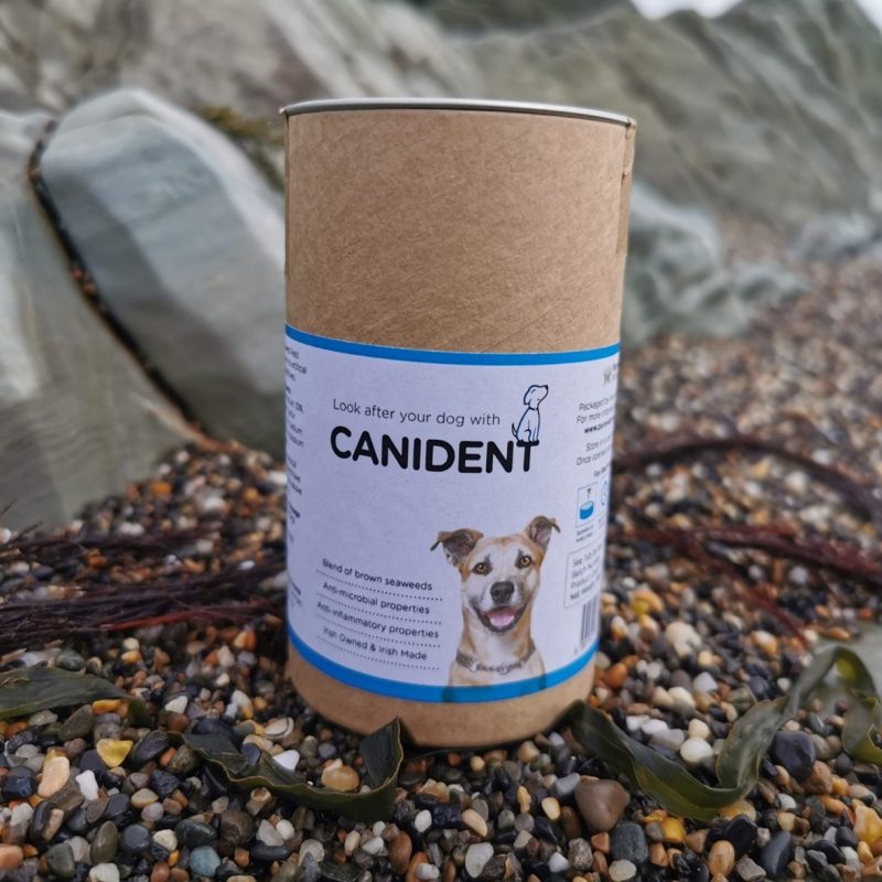 Pure Vet Products - Canident for Dogs - Paws Naturally